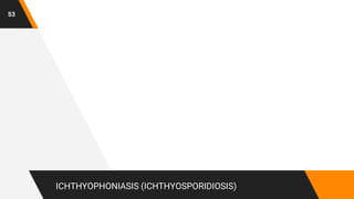 Fungal diseases of fish and shell fish | PPTX