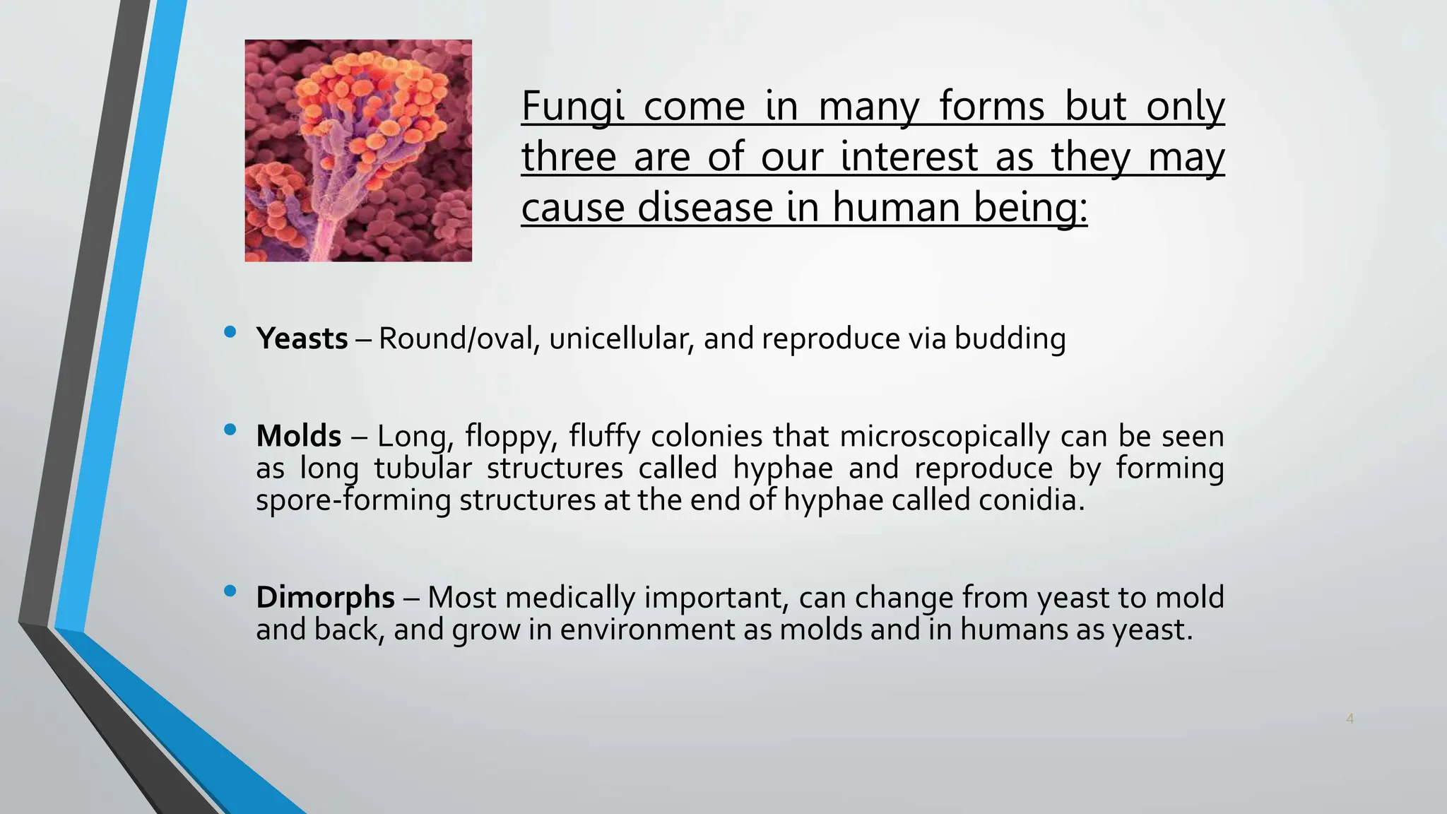 FUNGAL DISEASES in children by dr priyanka.pptx