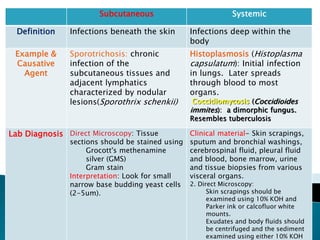 Fungal diseases (Mycoses).ppt