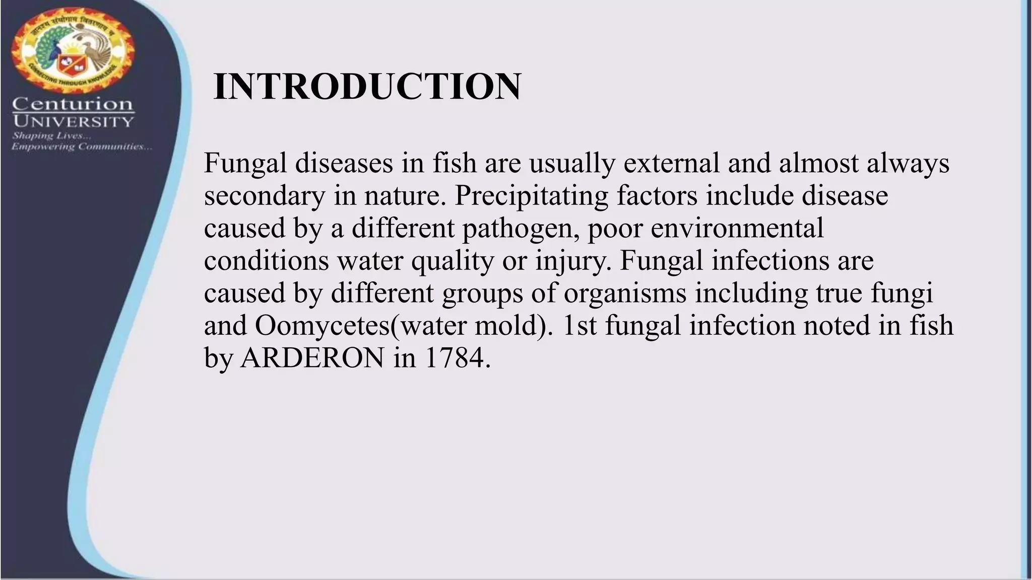 fungal diseases of fish(220705180075) 1.pptx