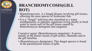 fungal diseases of fish(220705180075) 1.pptx