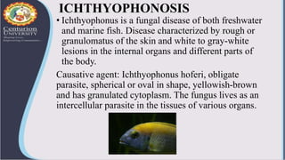 fungal diseases of fish(220705180075) 1.pptx