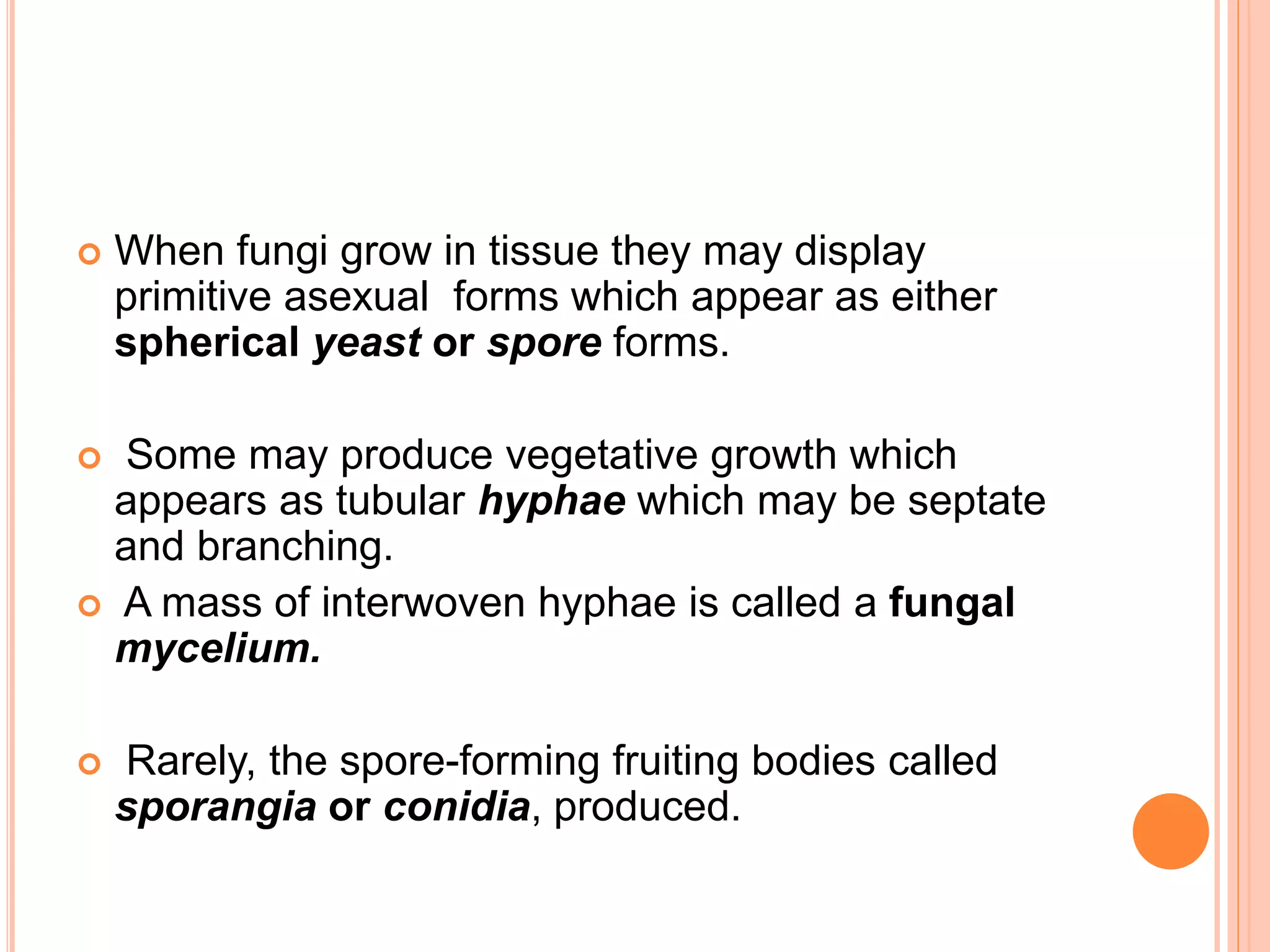 Fungal diseases of lung | PPTX