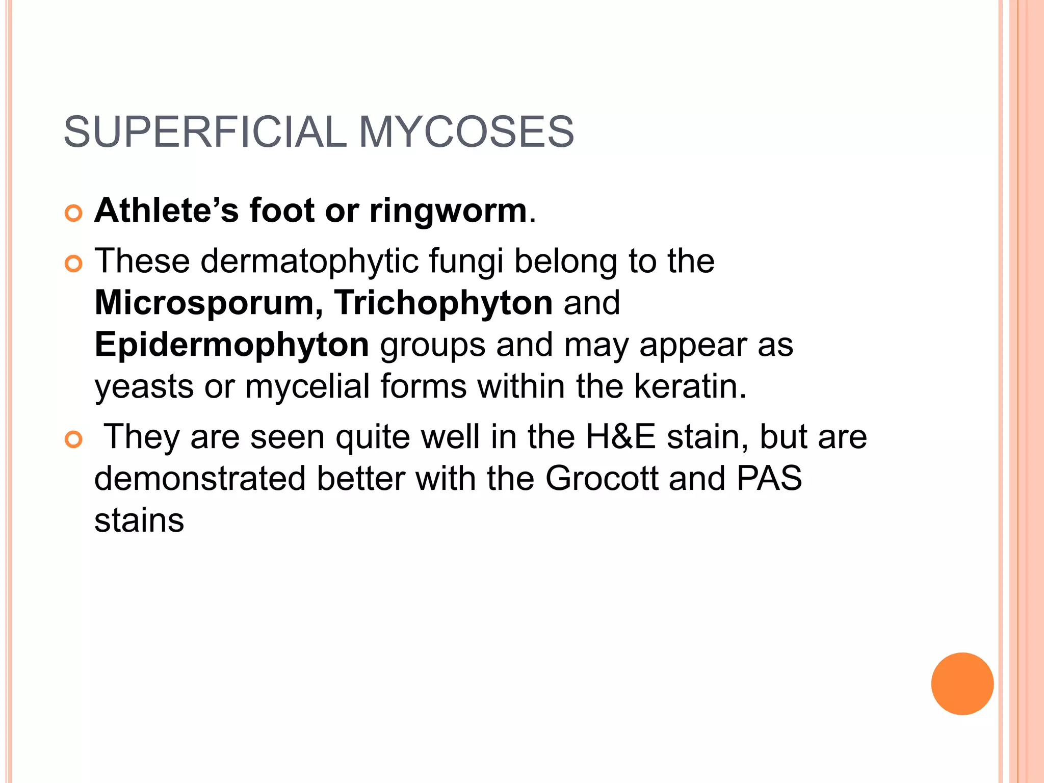 Fungal diseases of lung | PPTX