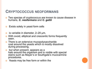 Fungal diseases of lung | PPTX