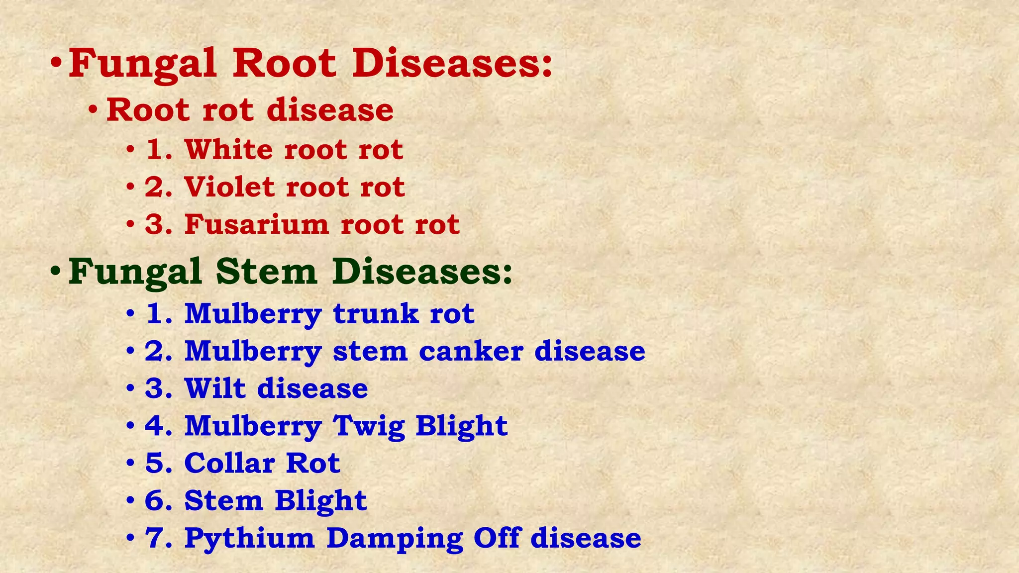 Fungal diseases of Mulberry.pptx