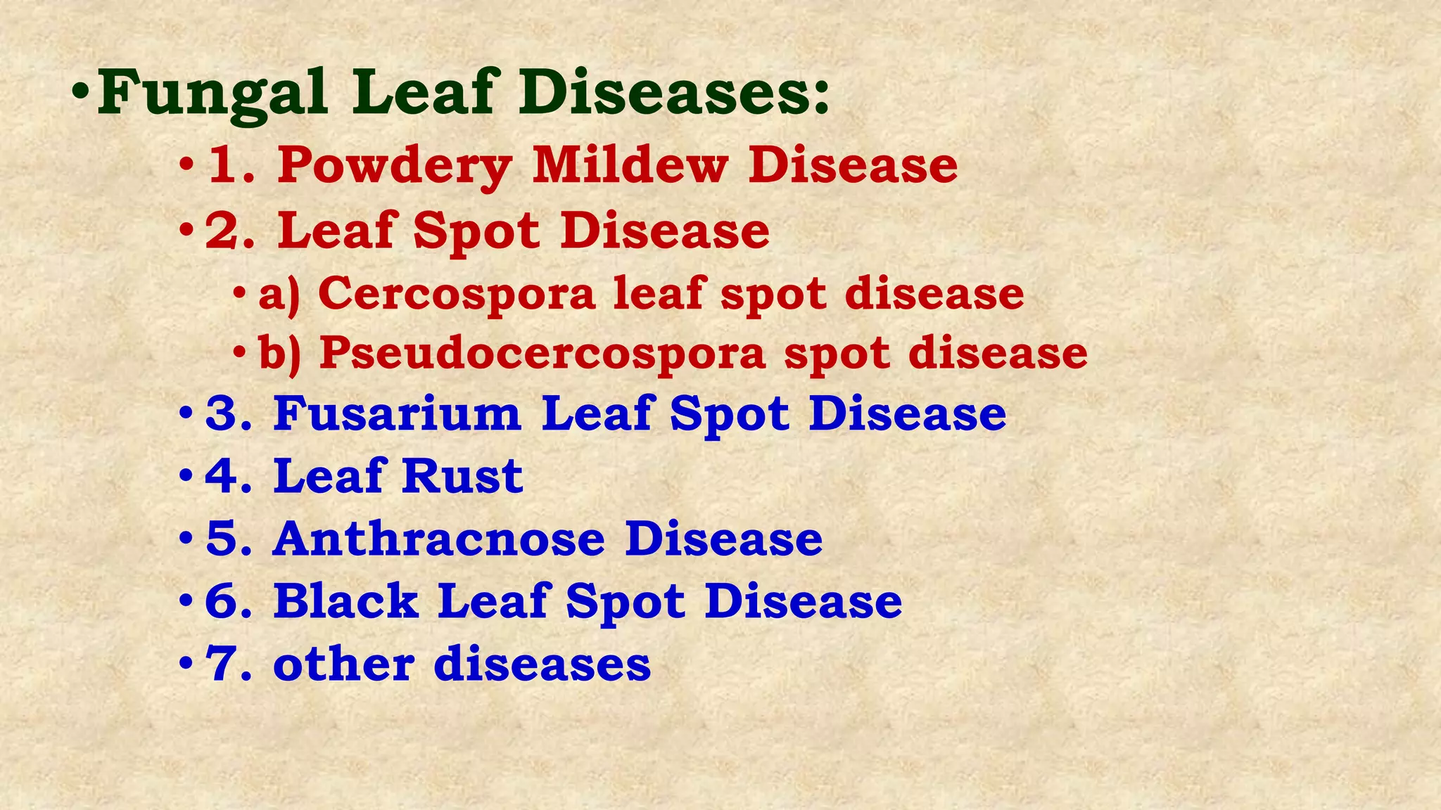 Fungal diseases of Mulberry.pptx