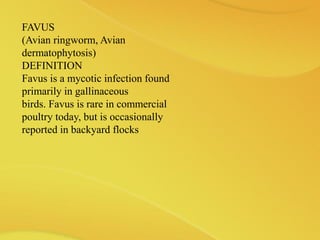 fungal diseases of poultryfavus .ochroconosis.pdf