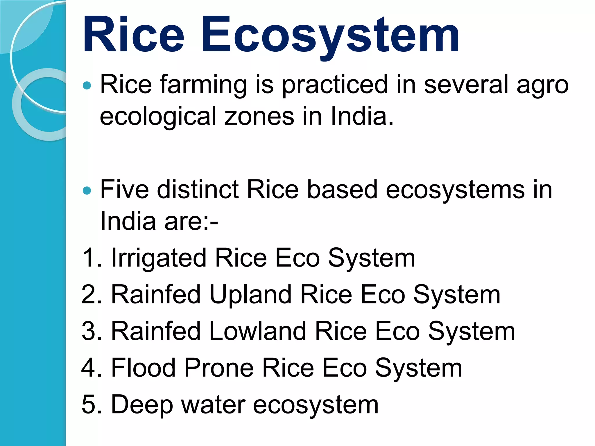 Fungal diseases of RICE.pptx