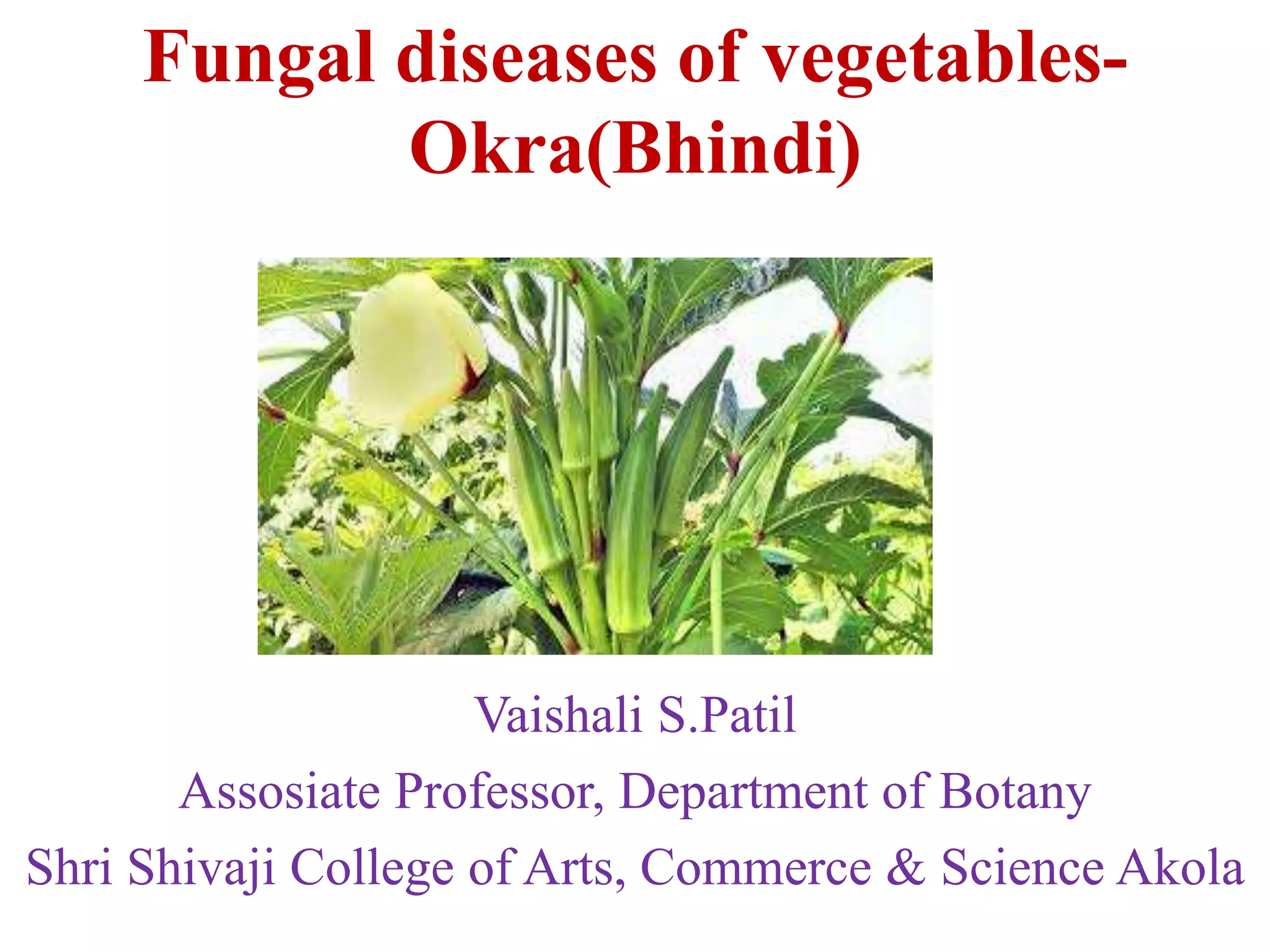 Fungal diseases of vegetables bhindi | PPTX
