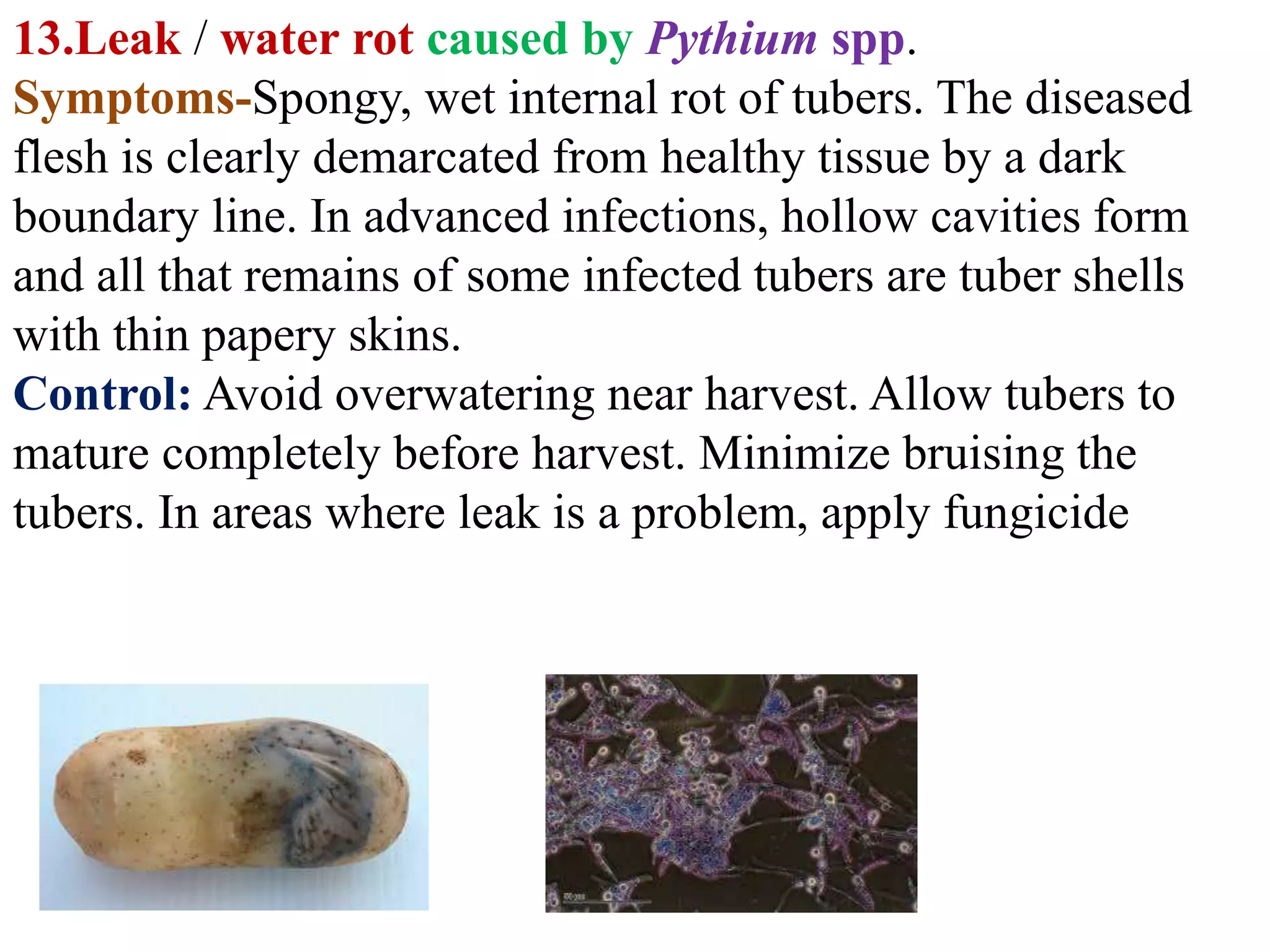 fungaldiseasesofvegetables-potato-211210060451.pdf