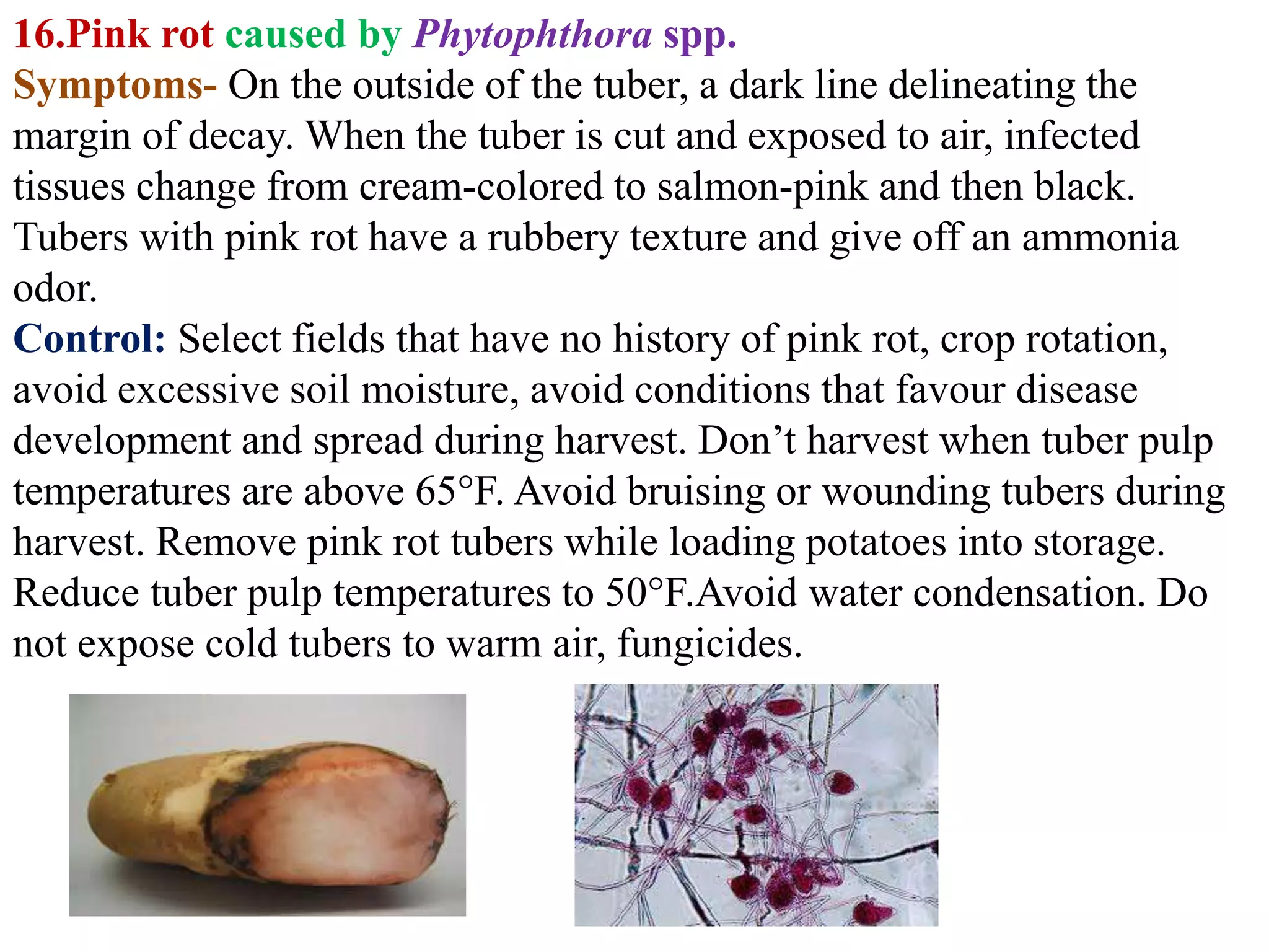 fungaldiseasesofvegetables-potato-211210060451.pdf