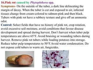 fungaldiseasesofvegetables-potato-211210060451.pdf