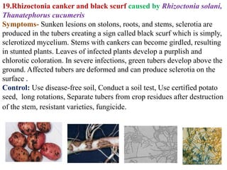 fungaldiseasesofvegetables-potato-211210060451.pdf