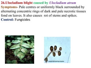 fungaldiseasesofvegetables-potato-211210060451.pdf