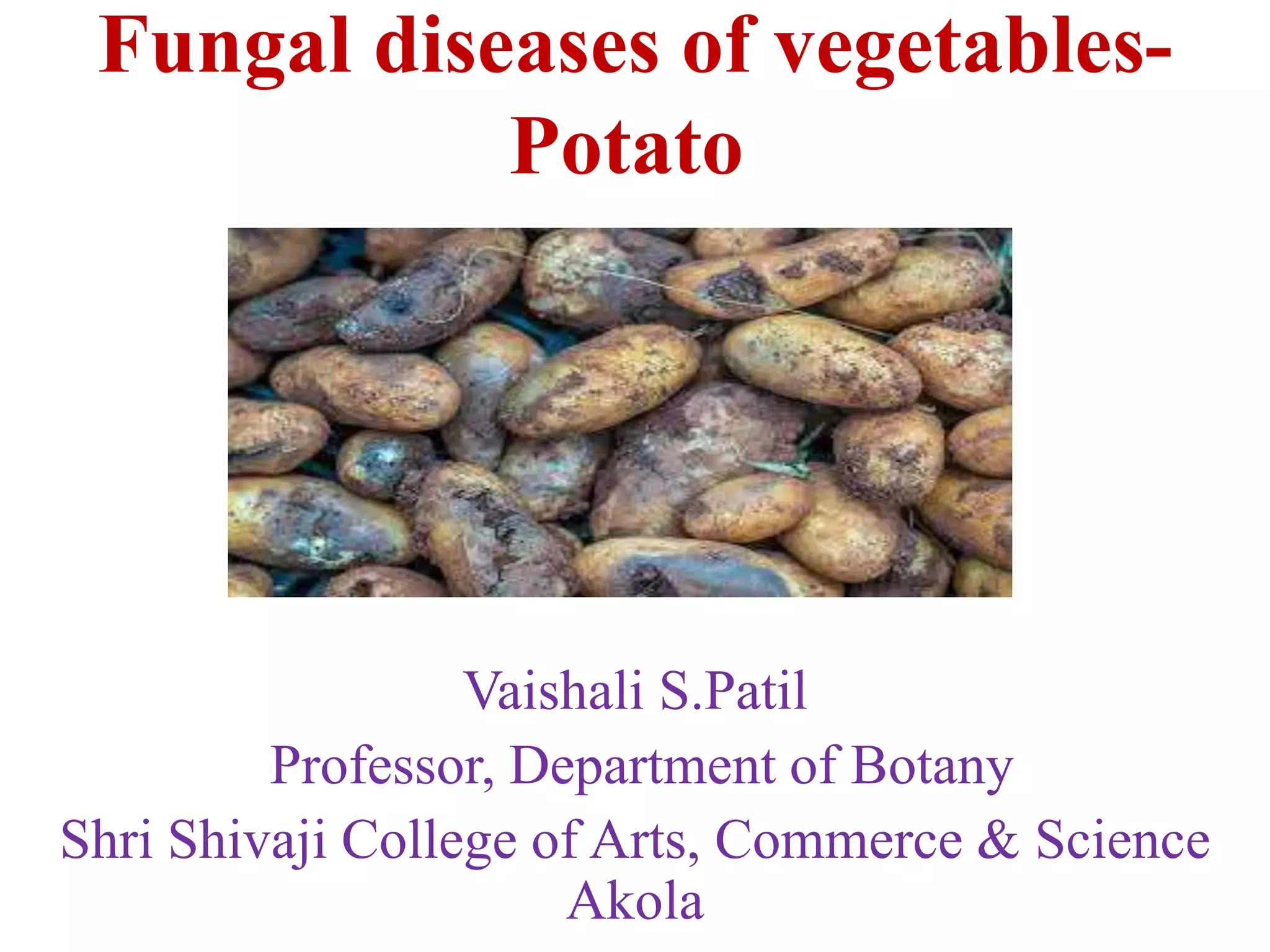 Fungal diseases of vegetables potato | PPT