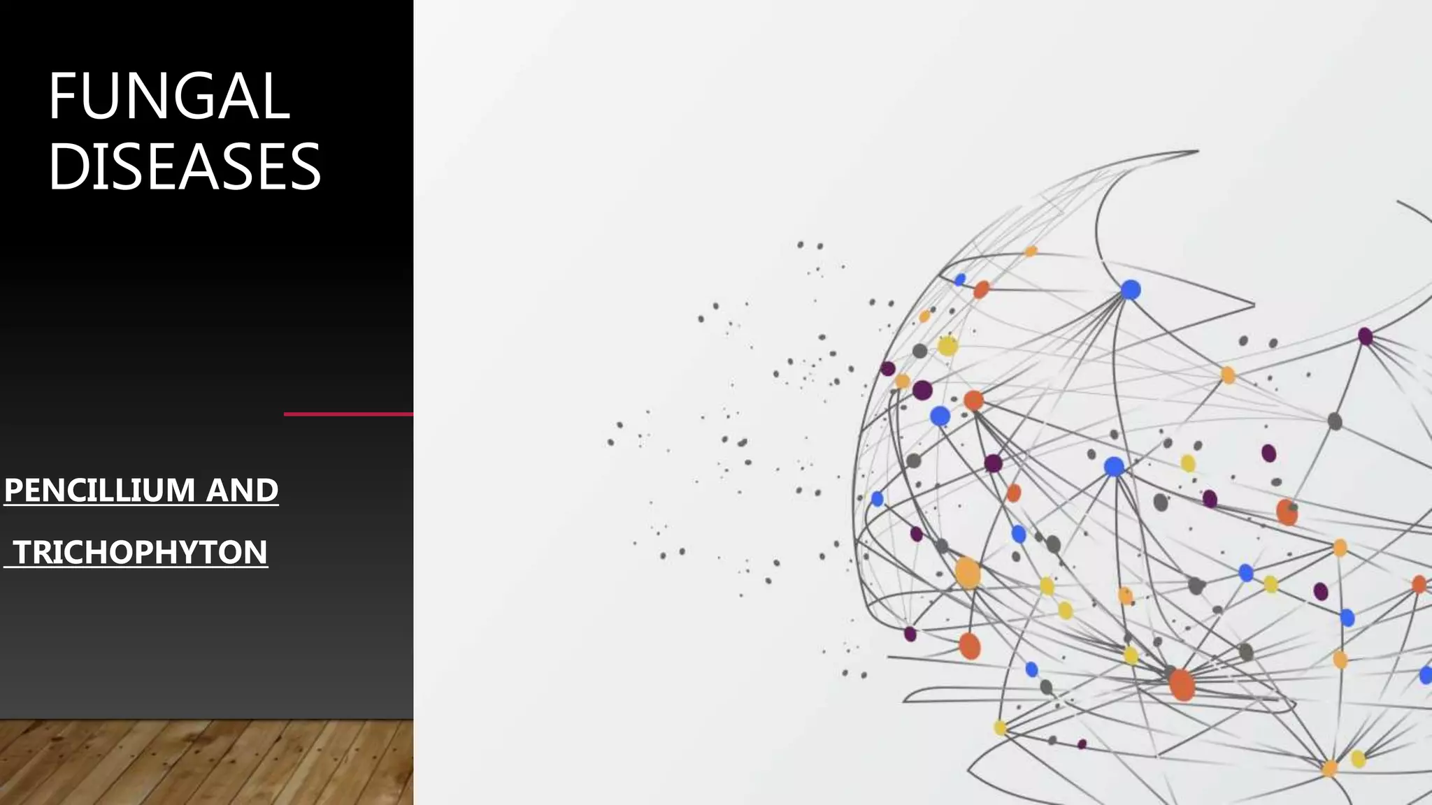 Fungal diseases [penicillium and trichophyton] | PPTX