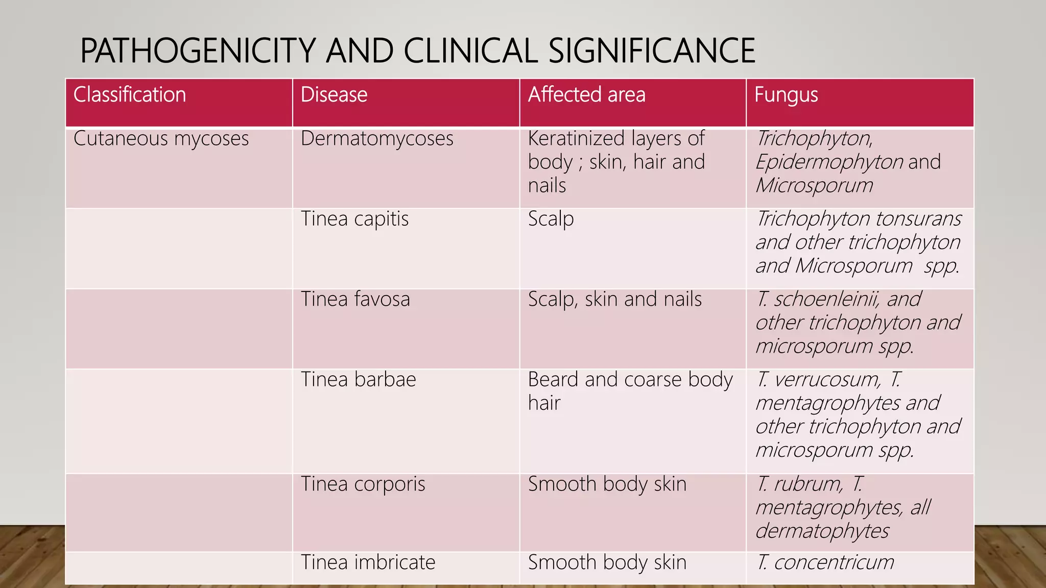 Fungal diseases [penicillium and trichophyton] | PPTX