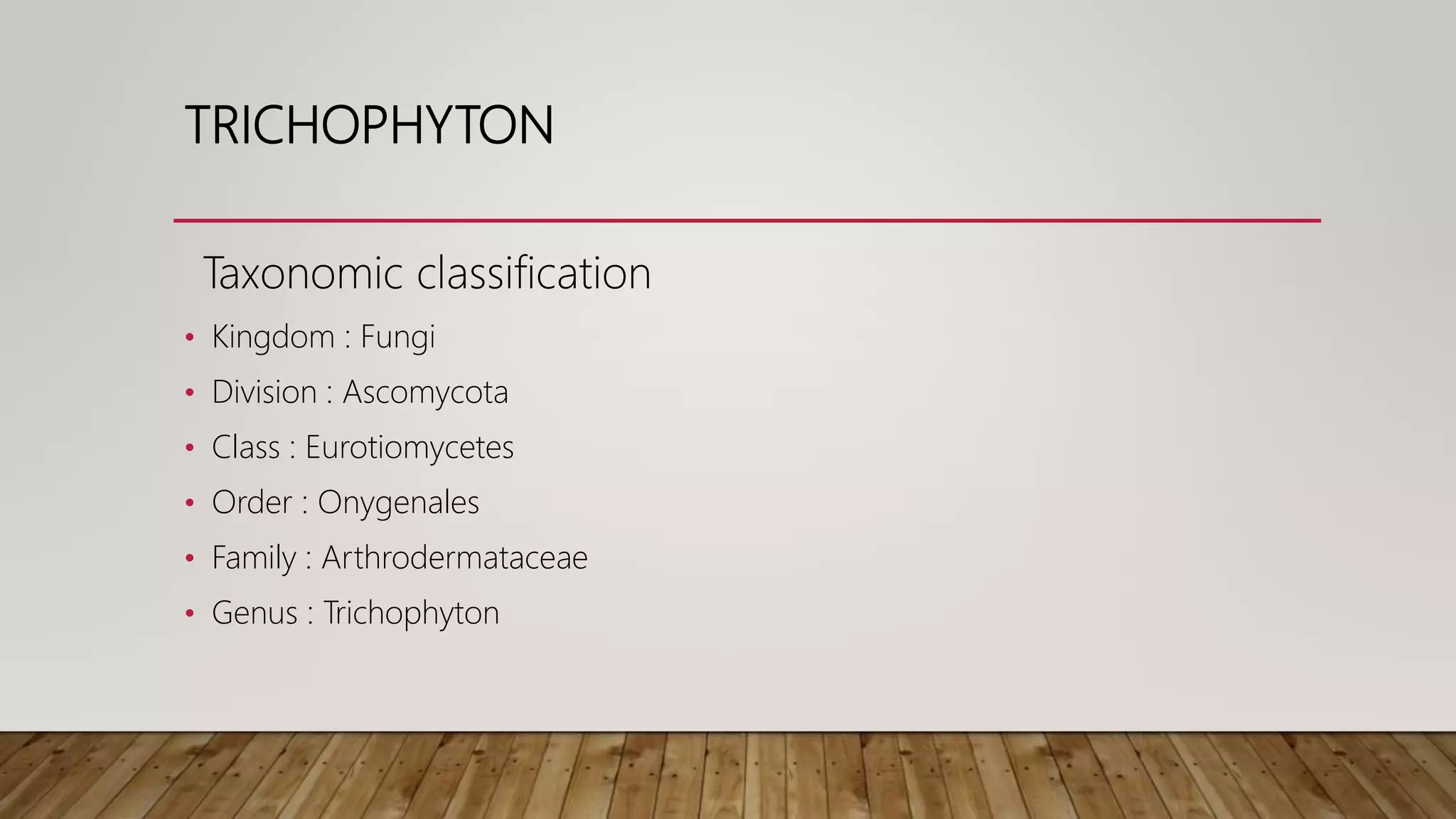 Fungal diseases [penicillium and trichophyton] | PPTX