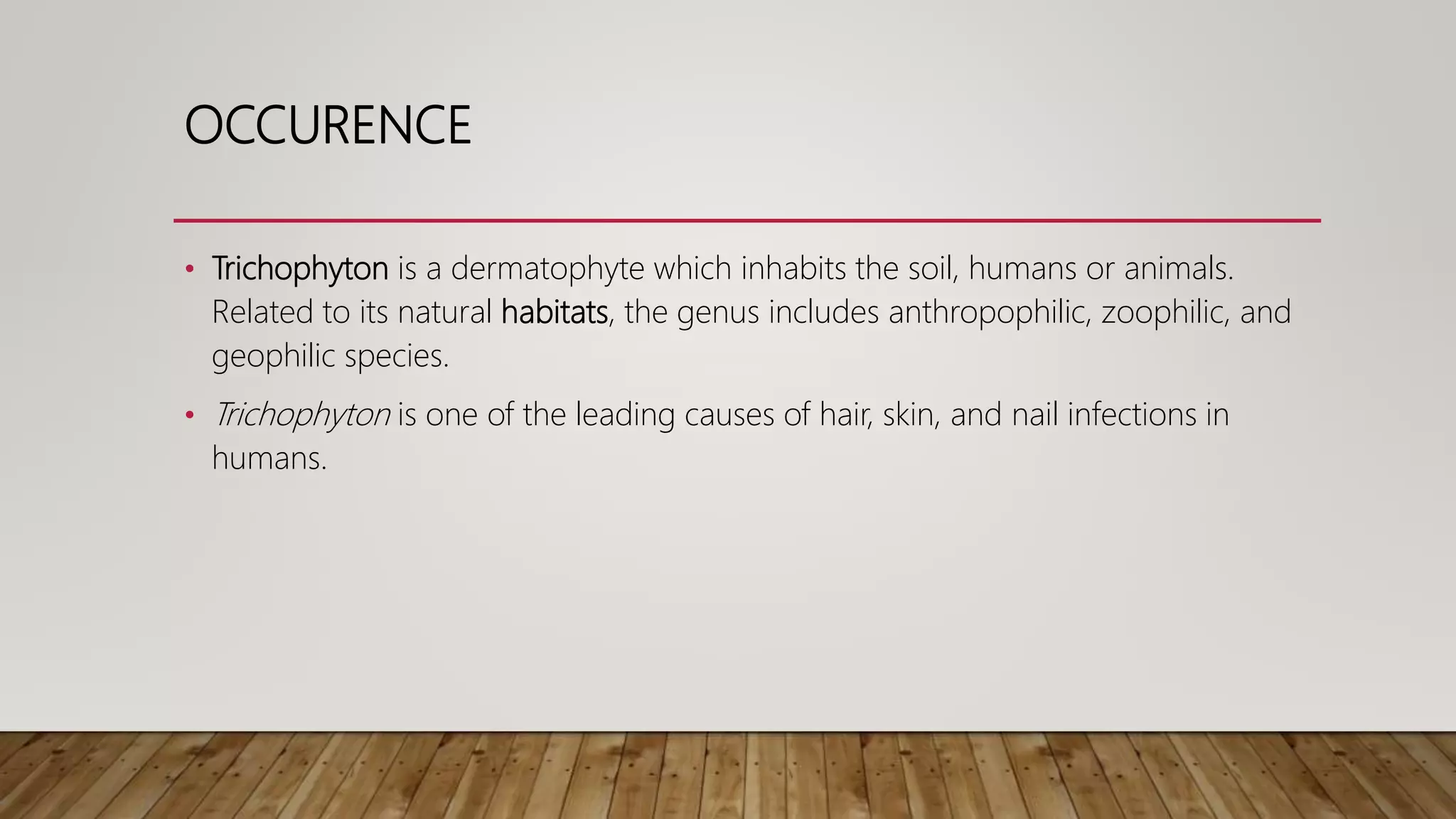 Fungal diseases [penicillium and trichophyton] | PPTX