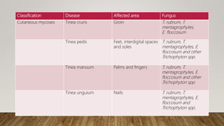 Fungal diseases [penicillium and trichophyton] | PPTX