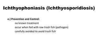 Fungal Diseases on Fishes | PPTX