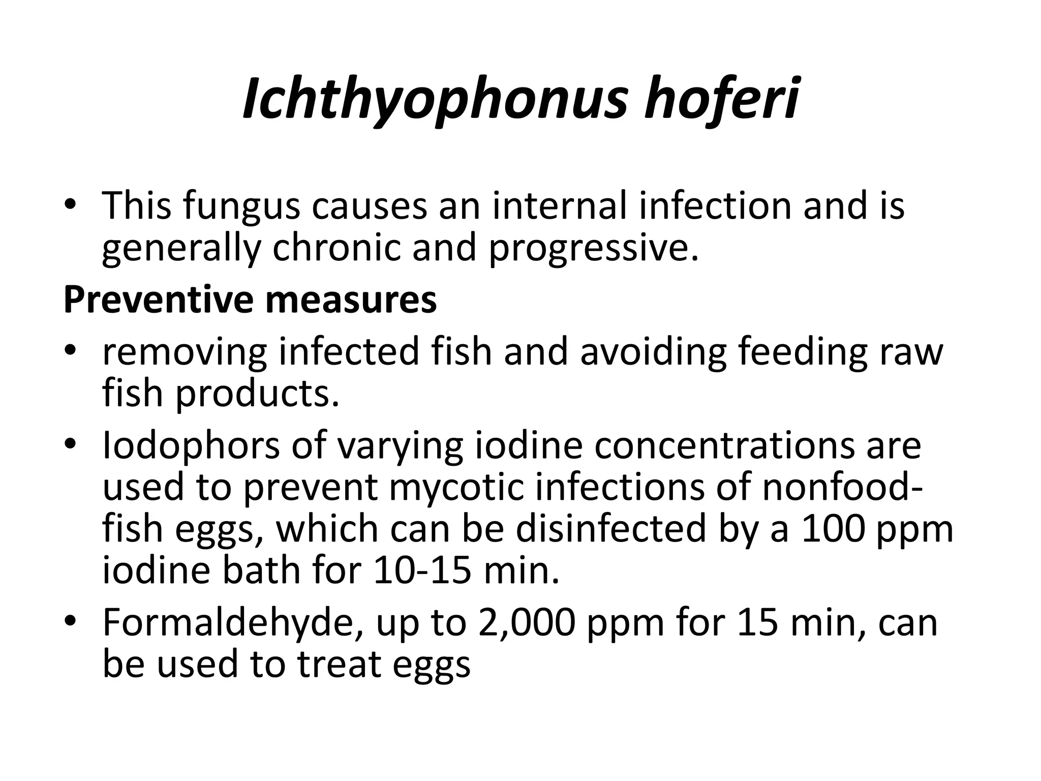 FUNGAL_DISEASES in fishes and the effect. | PPT