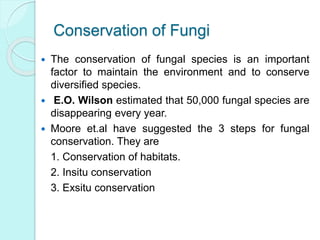 Fungal diversity.pptx