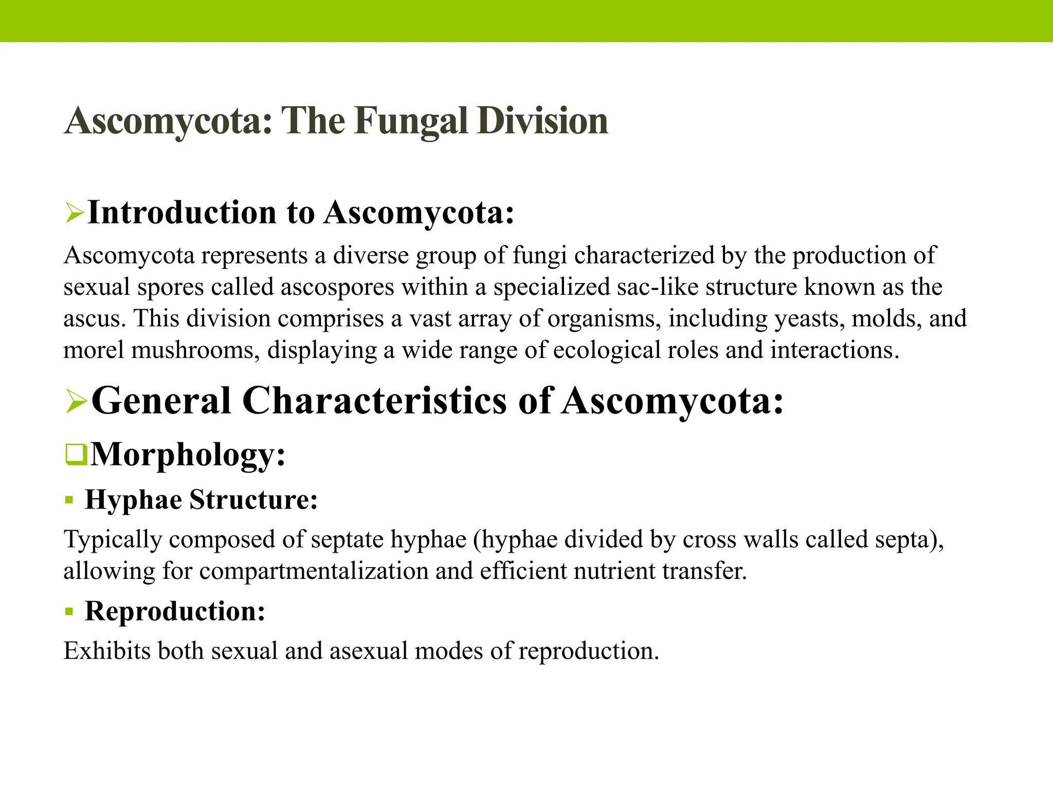FUNGAL DIVISION 7.pptx