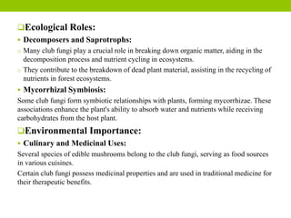FUNGAL DIVISION 7.pptx