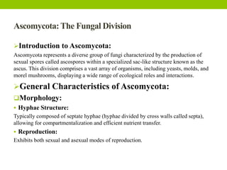 FUNGAL DIVISION 7.pptx