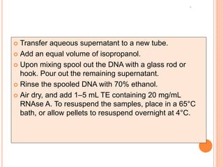 FUNGAL DNA ISOLATION.pptx