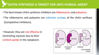 ANTI FUNGAL DRUGS AFFECTING CELL MEMBRANE AND CELL WALL. | PPT