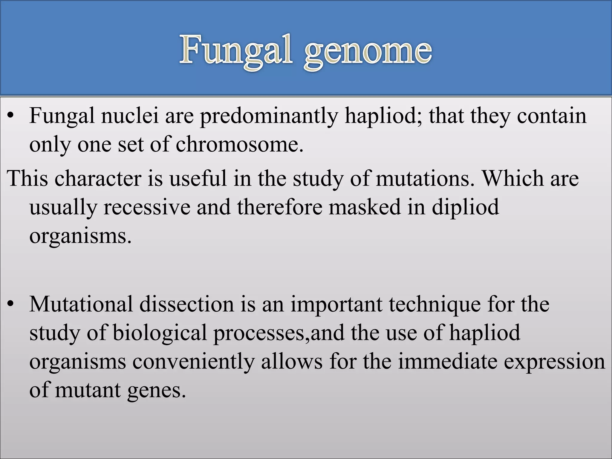 Fungal genetics | PPTX