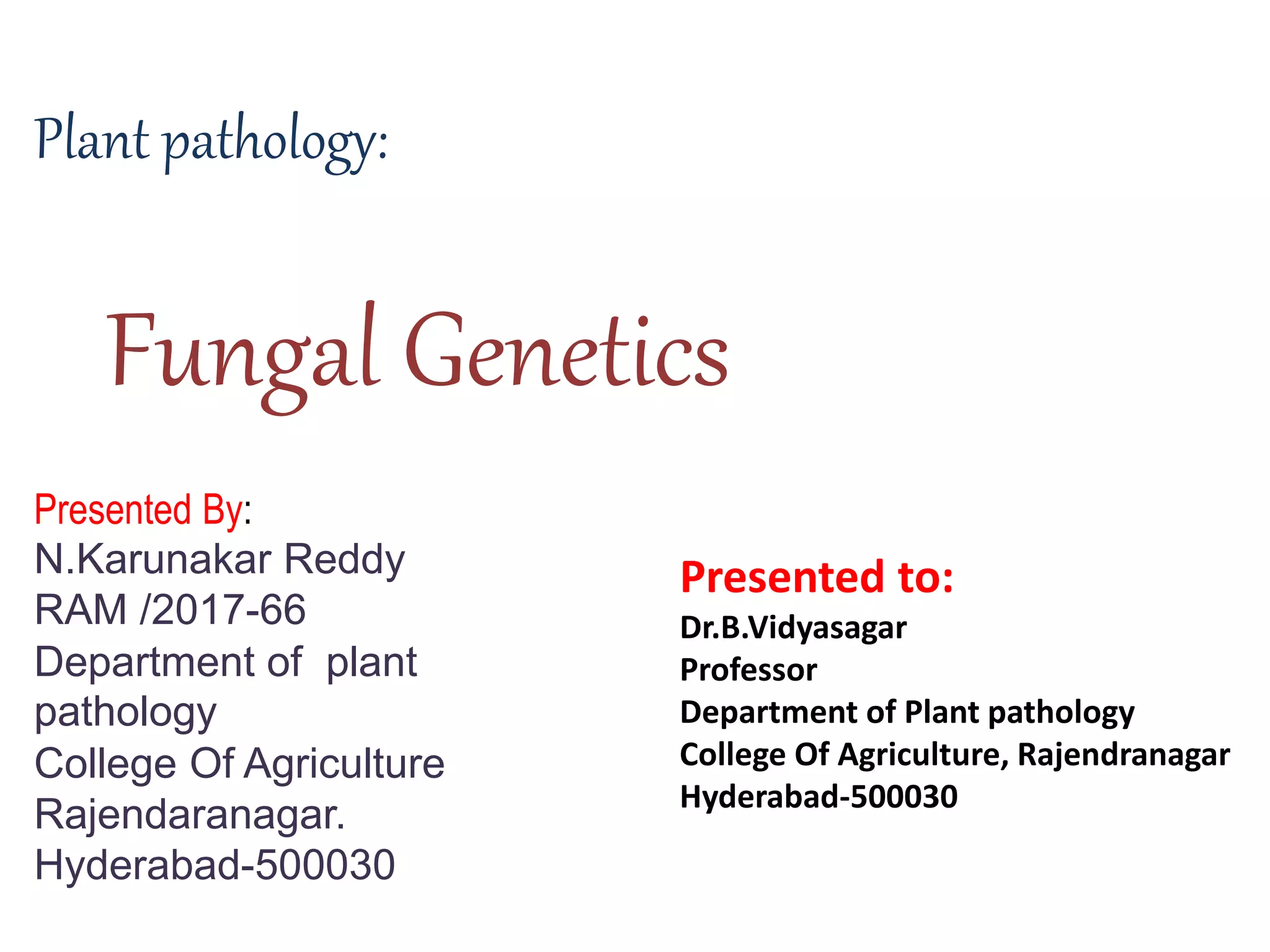 Fungal genetics | PPTX