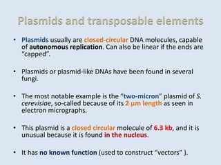Fungal genomics | PDF