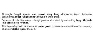 Fungal Growth (Fungal Biotechnology leacture) | PPTX