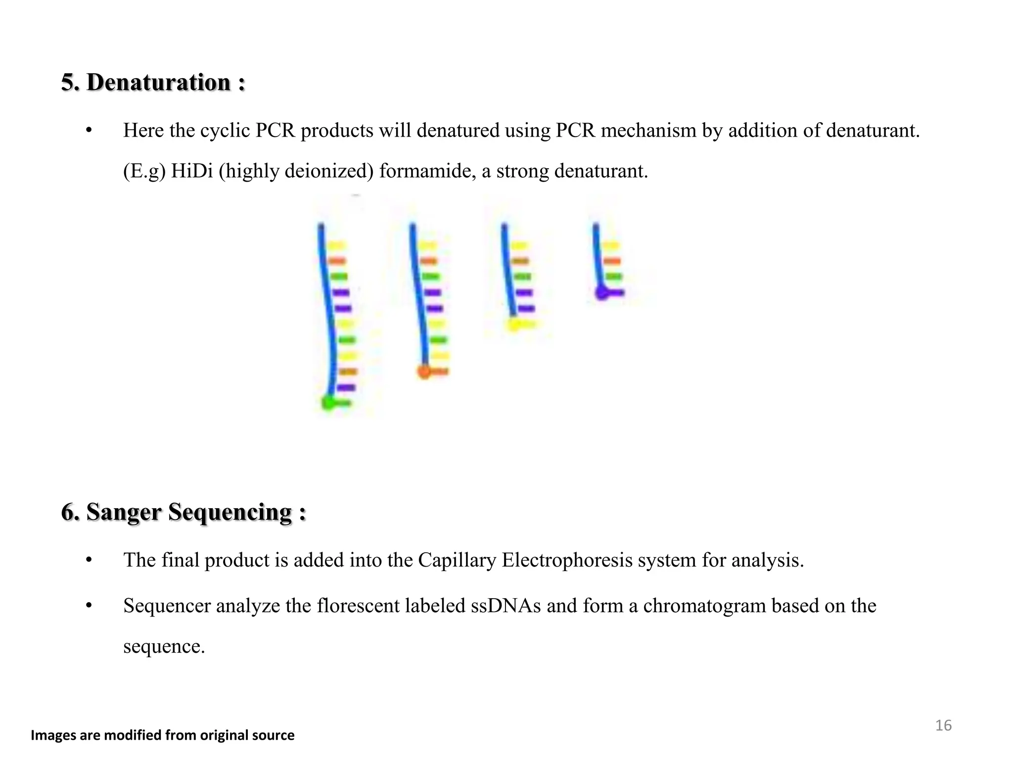 FUNGAL IDENTIFICATION BY SANGER SEQUENCING.pptx