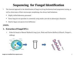 FUNGAL IDENTIFICATION BY SANGER SEQUENCING.pptx