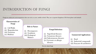 Fungal Identification Using Molecular Tools.pptx