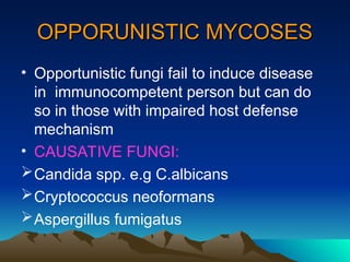 a brief presentation fungal iNFECTION.ppt