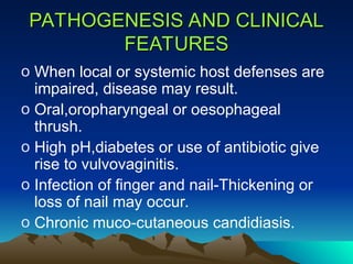 a brief presentation fungal iNFECTION.ppt