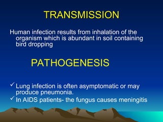 a brief presentation fungal iNFECTION.ppt