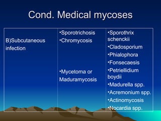 a brief presentation fungal iNFECTION.ppt