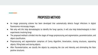 Fungal infection detection | PPTX