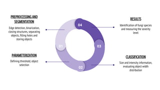Fungal infection detection | PPTX