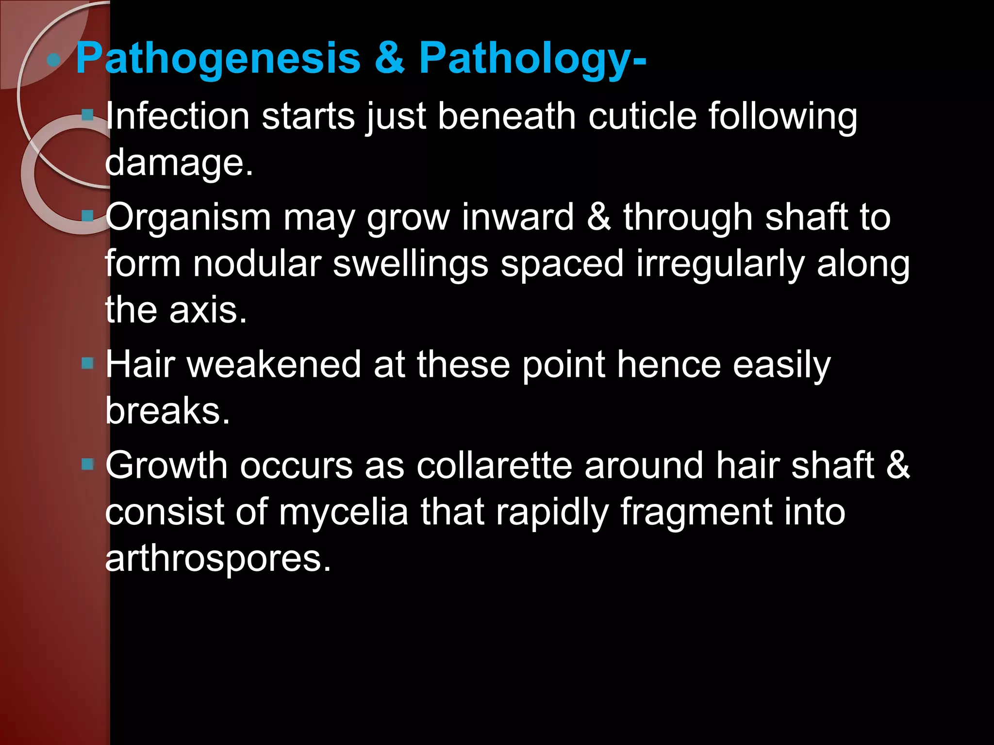Fungal infection in hair | PPTX
