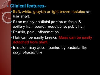 Fungal infection in hair | PPTX