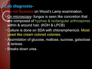 Fungal infection in hair | PPTX