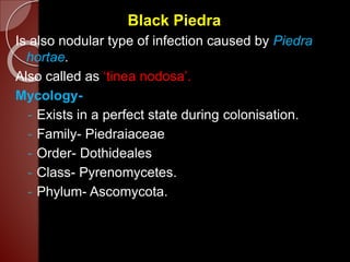 Fungal infection in hair | PPTX